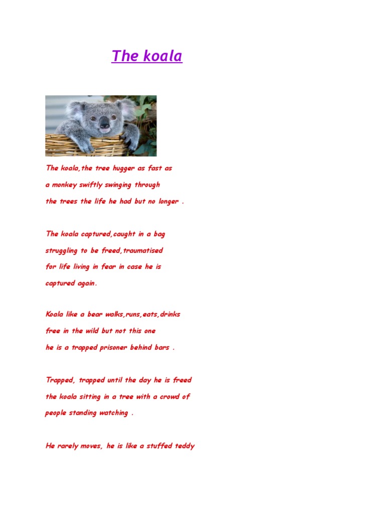 Koala | PDF