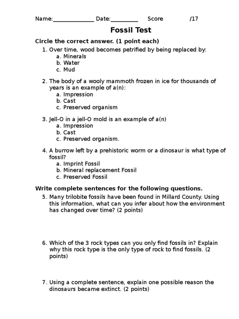 Fossil Test | PDF