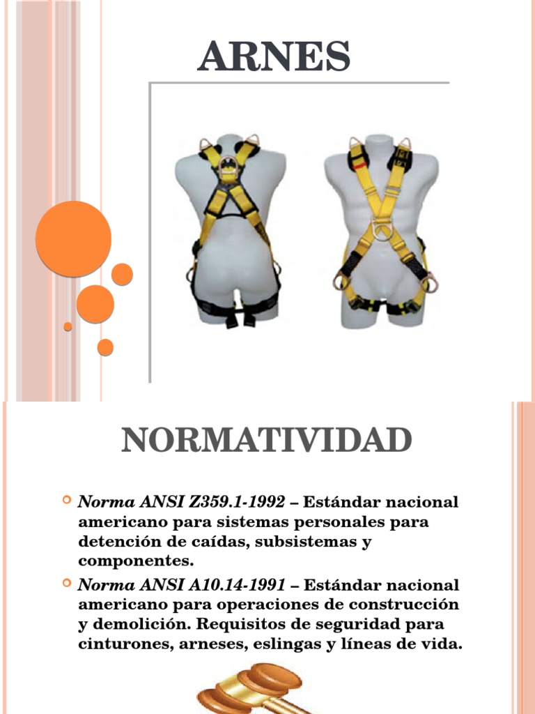 Tipos de ARNES | PDF | Naturaleza