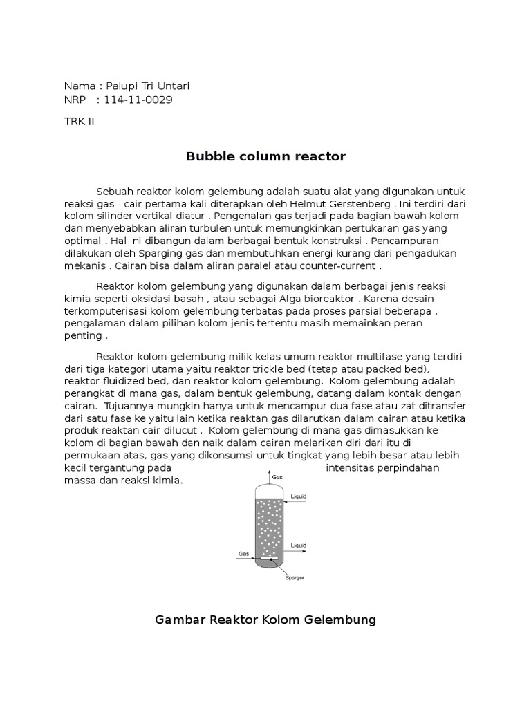 Reaktor Kolom Gelembung | PDF