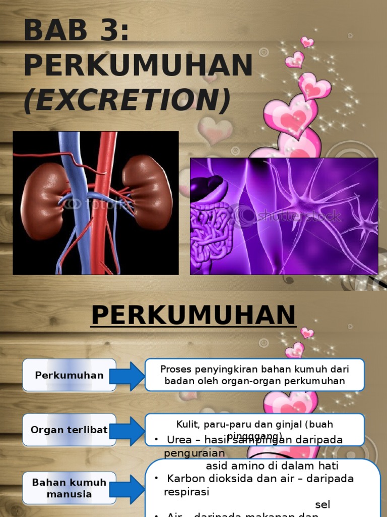Perkumuhan | PDF