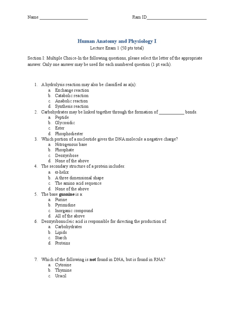 Anatomy and Physiology Exam 1 Guide | PDF | Dna | Macromolecules