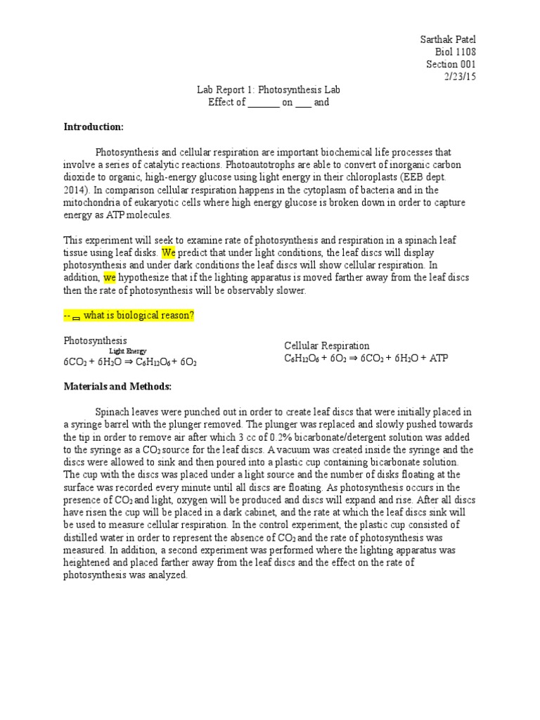 Photosynthesis Lab Report: Spinach Disks | PDF | Photosynthesis ...