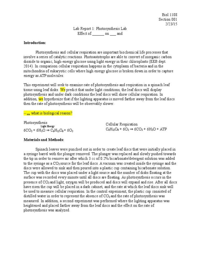 Spinach Leaf Disk Photosynthesis Lab | PDF | Photosynthesis | Cellular ...