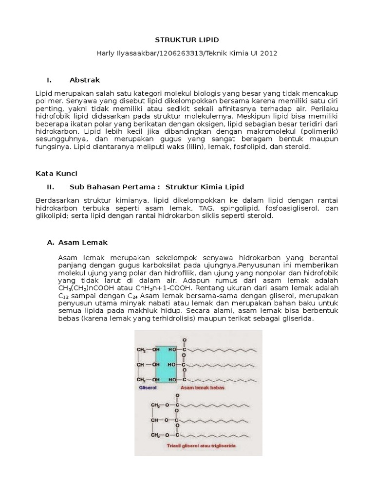 Struktur dan Klasifikasi Lipid | PDF