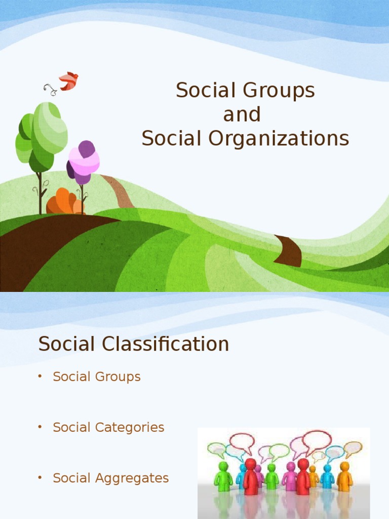 Social Groups and Organizations | PDF | Social Group | Conformity