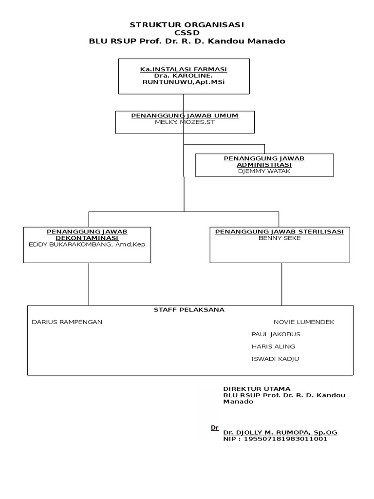 Struktur Organisasi CSSD | PDF