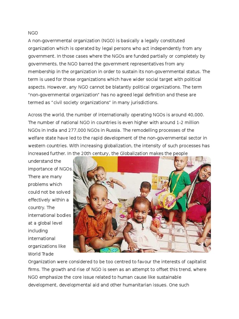 An In-Depth Look at Non-Governmental Organizations: Their Purpose ...