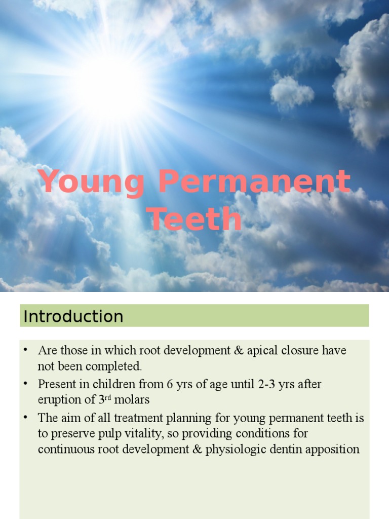 Young Permanent Teeth: Vitality & Care | PDF | Human Tooth | Tooth Enamel