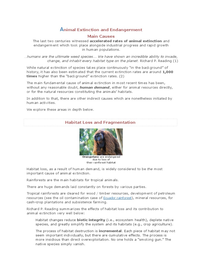 Causes of Animal Extinction Explained | PDF | Extinction | Habitat ...