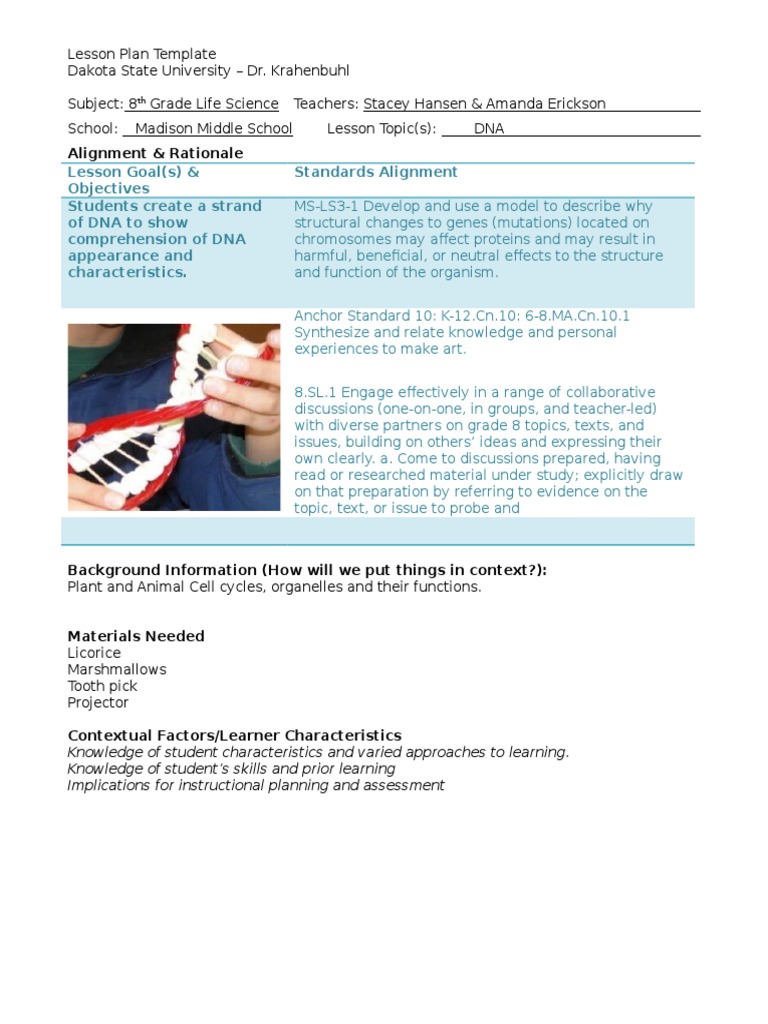 8th Grade DNA Model Lesson Plan | PDF | Dna | Base Pair