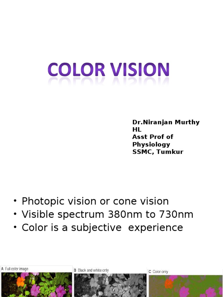Physiology Color Vision | PDF | Color | Graphic Design