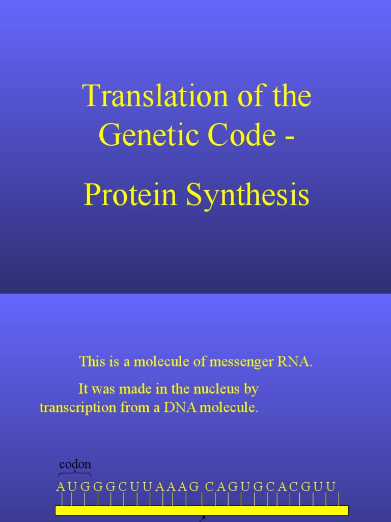 Translation of The Genetic Code - Protein Synthesis | PDF