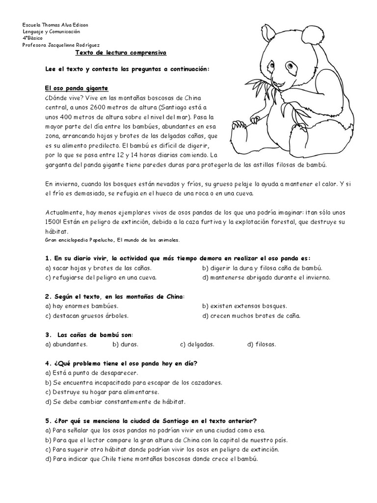 Ficha 4°lectura Comprensiva El Oso Panda | PDF