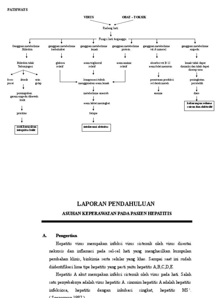 LP Hepatitis | PDF