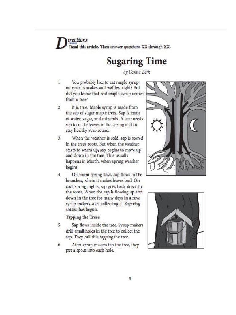 Sugaring Time Reading Passage | PDF