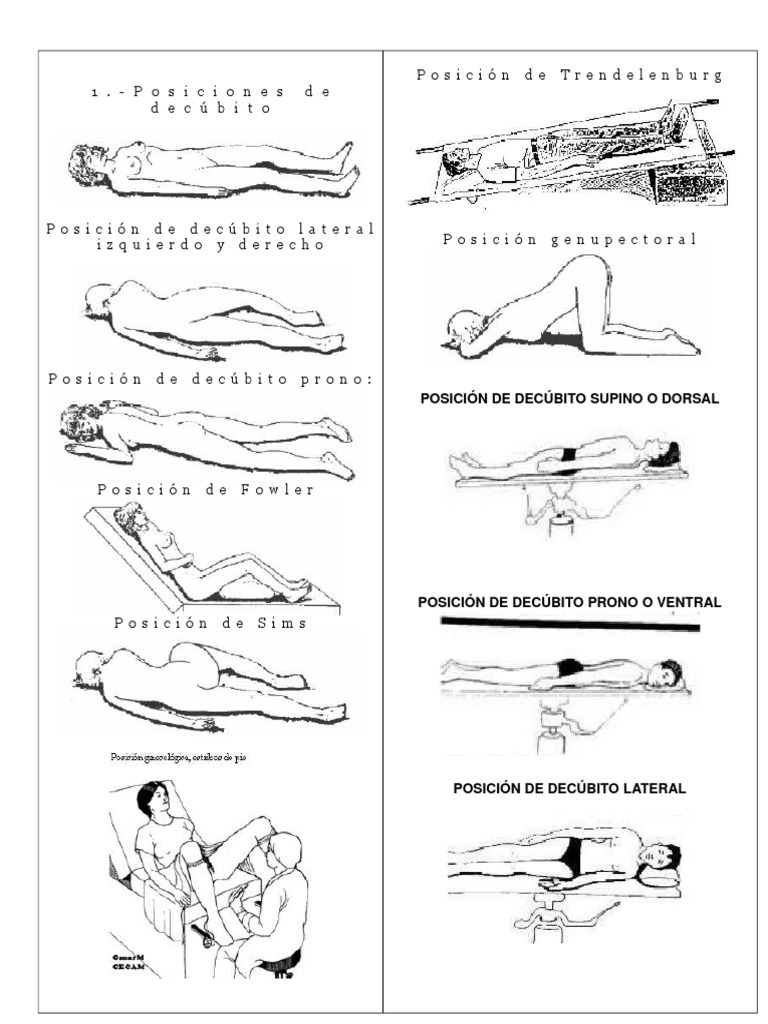 POSICIONES ANATOMICAS