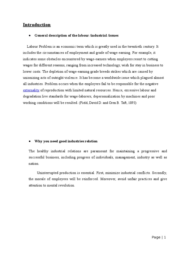 General Description of The Labour /industrial /issues: Externality ...