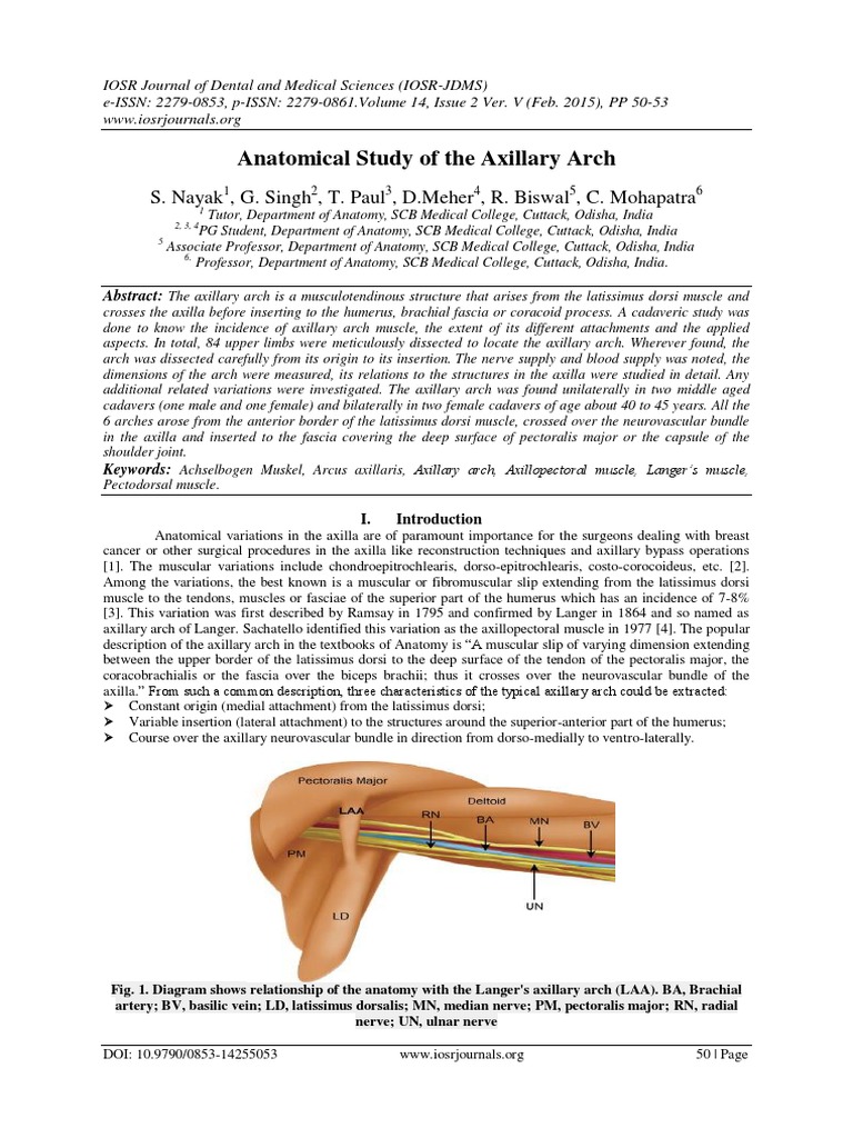 Anatomical Study of The Axillary Arch | PDF | Human Anatomy ...