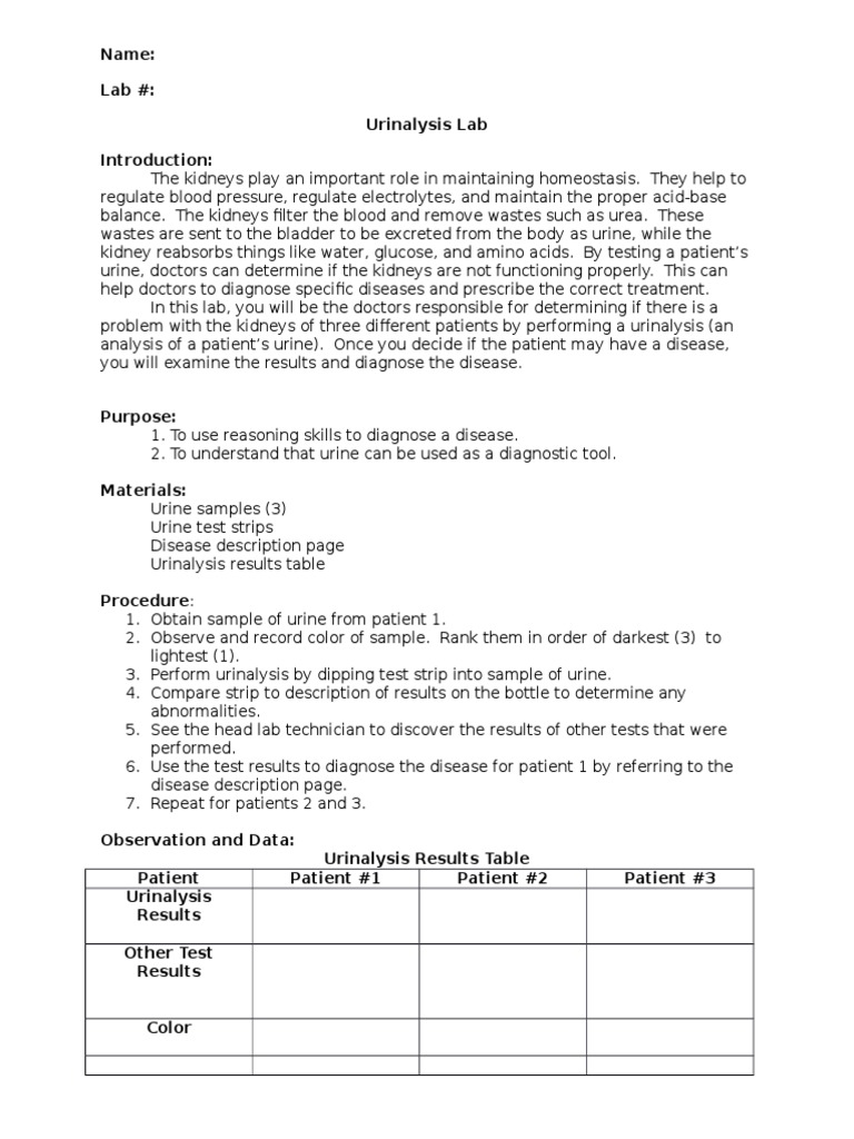 Urinalysis Lab 2012 | PDF | Kidney | Urine