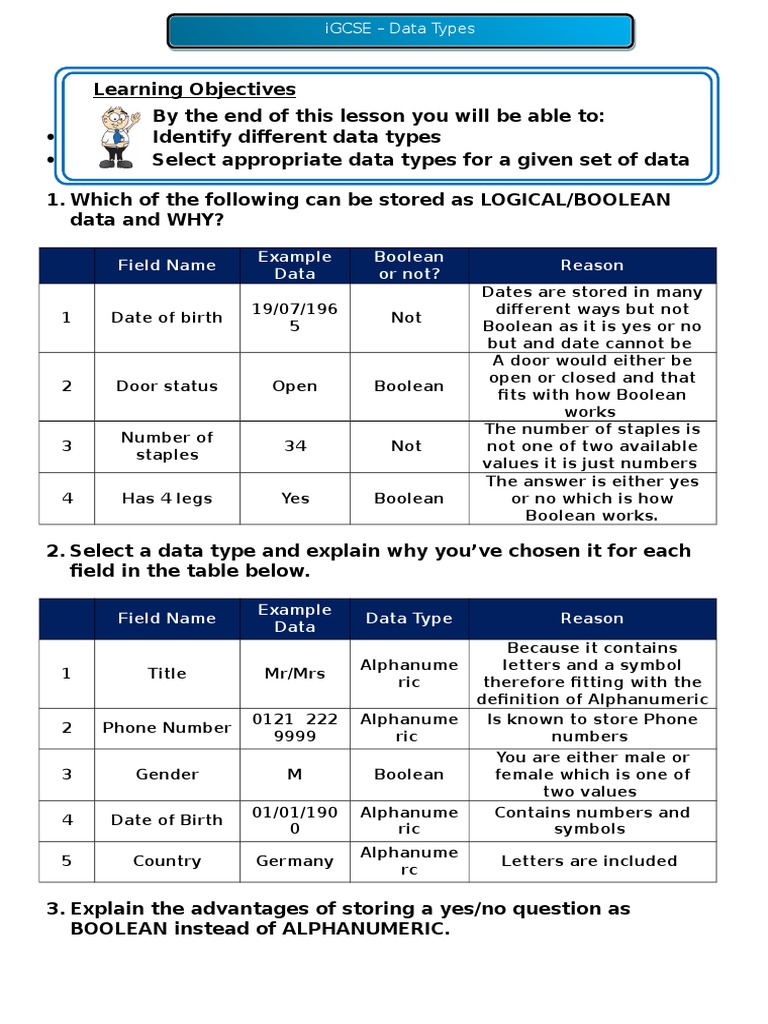 iGCSE Data Types Explained | PDF