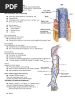 IV Therapy & Transfusions Cheat Sheet | PDF | Intravenous Therapy ...