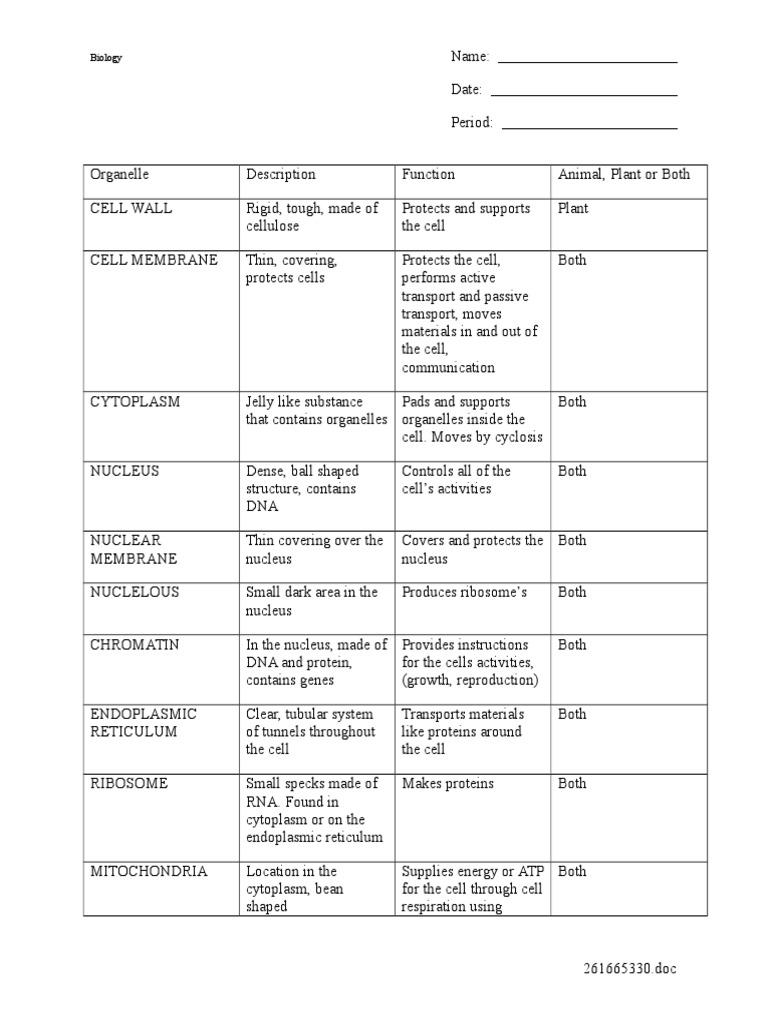 Cell Organelles Worksheet | Cell Nucleus | Cell (Biology)