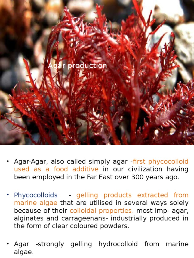 Agar | PDF | Agar | Chemical Substances