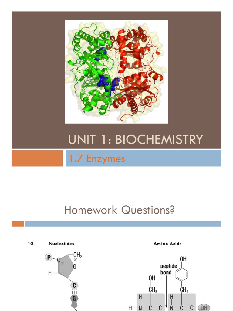 Unit 1: Biochemistry: 1.7 Enzymes | PDF | Enzyme | Enzyme Inhibitor