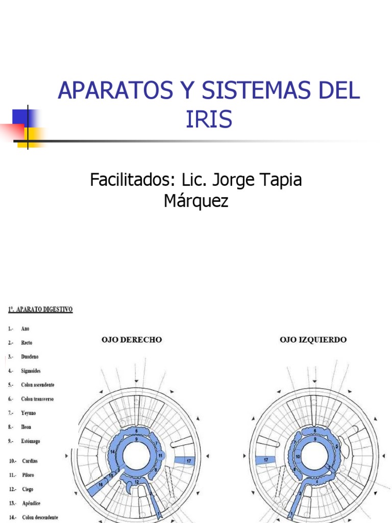 6 Iridologia APARATOS Y SISTEMAS DEL IRIS PDF