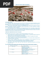 Introduction To Broiler Production Manual | PDF | Poultry Farming | Broiler