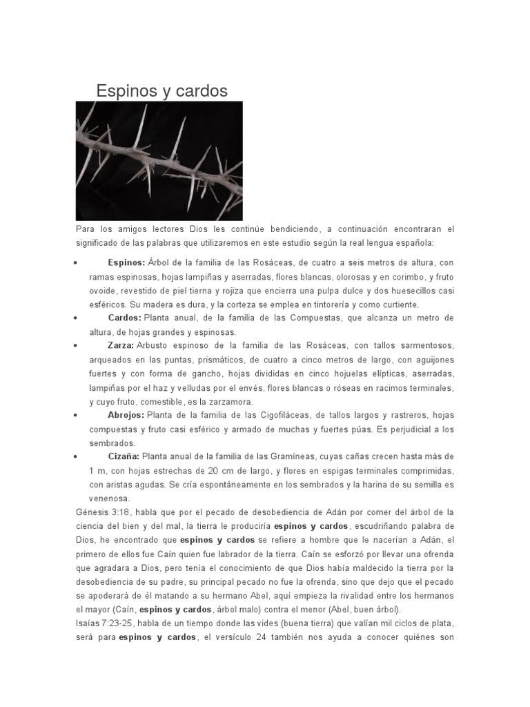 Espinos y Cardos: Significado y Referencias | PDF | Caín y Abel ...