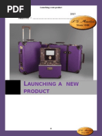 ML Backpacks Full Simulation Report | PDF | Marketing | Retail