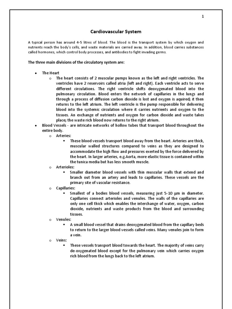 Cardiovascular System | PDF | Artery | Circulatory System