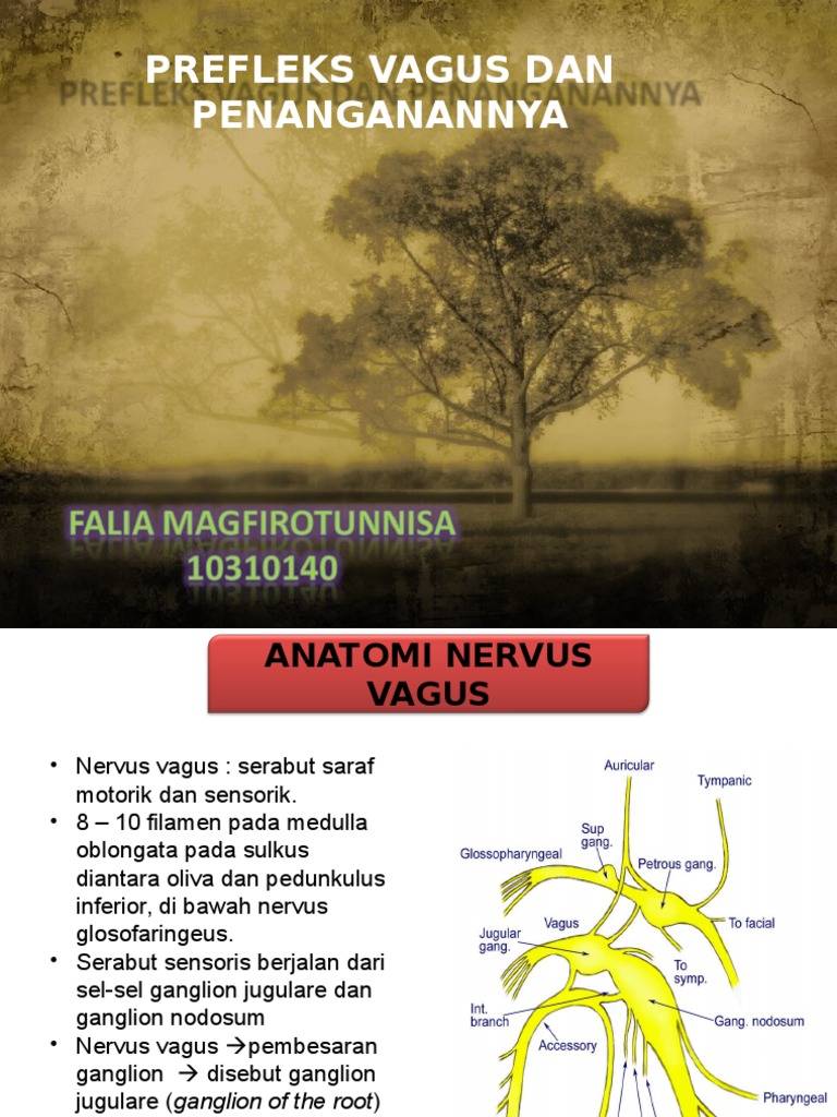 Reflek Vagal - Falia | PDF