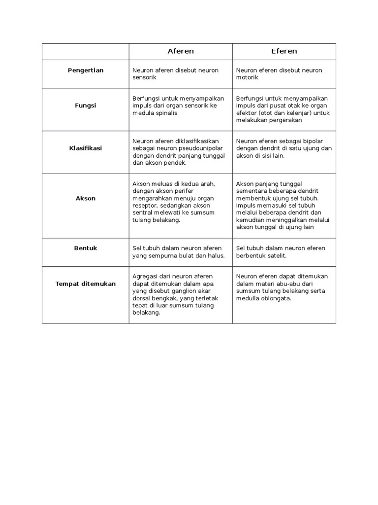 Perbedaan Aferen Dan Eferen | PDF