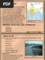 Types of Soil in India for Class 10 | PDF | Soil | Physical Geography