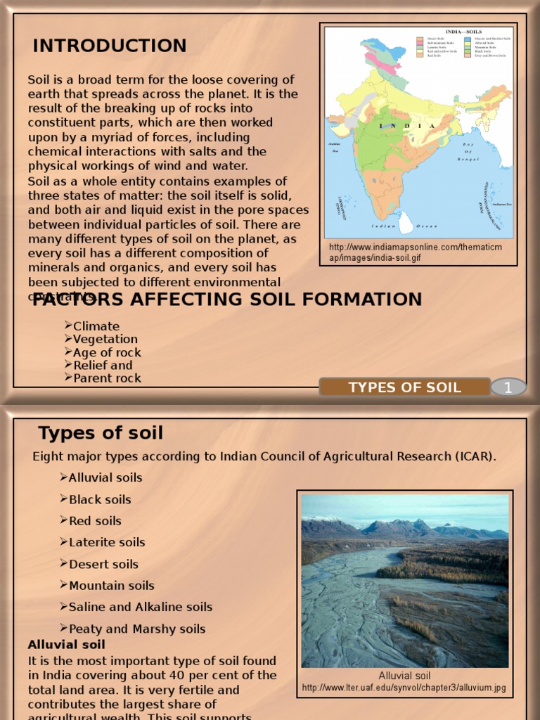 Types of Soil | PDF | Soil Science | Soil