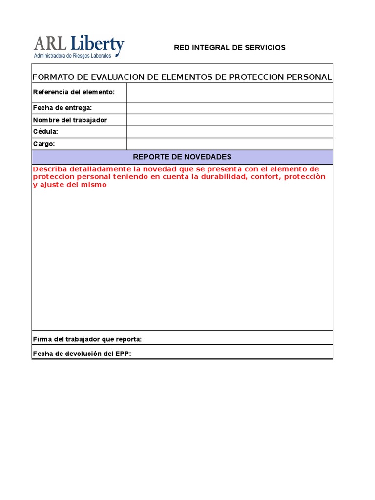 Formato de Evaluacion de Epp Ris 2015 | PDF