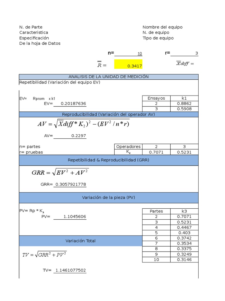 Formato RyR Cruzado | PDF