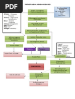 IVF Color Coding | PDF