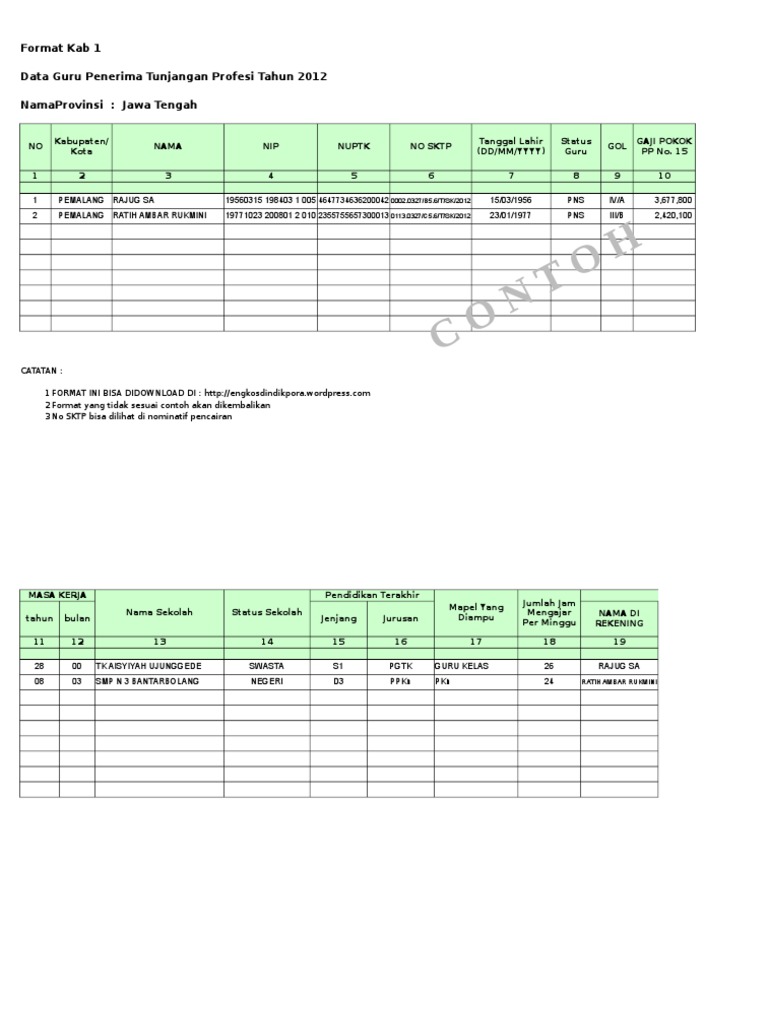 Contoh Format Pendataan | PDF