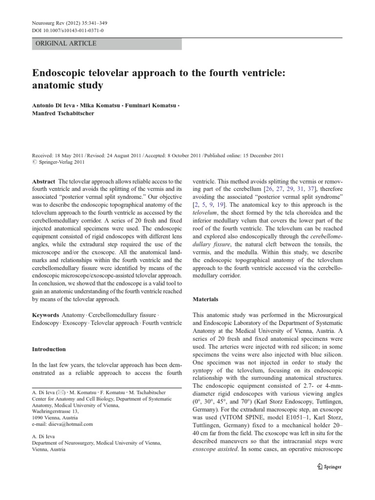 Endoscopic Telovelar Approach to the Fourth Ventricle- Anatomic Study ...