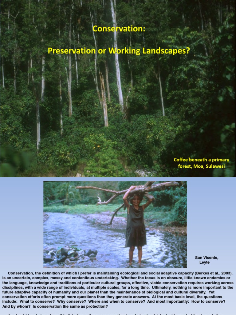 Conservation: Preservation or Working Landscapes?: Coffee Beneath A ...
