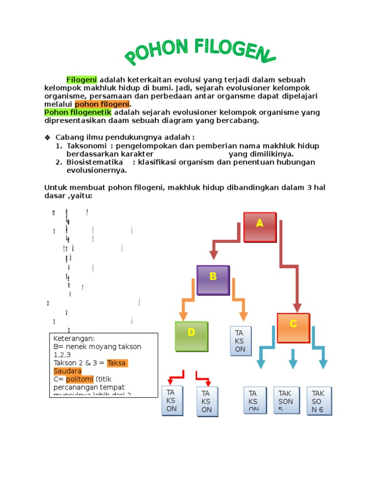 Pohon Filogeni | PDF
