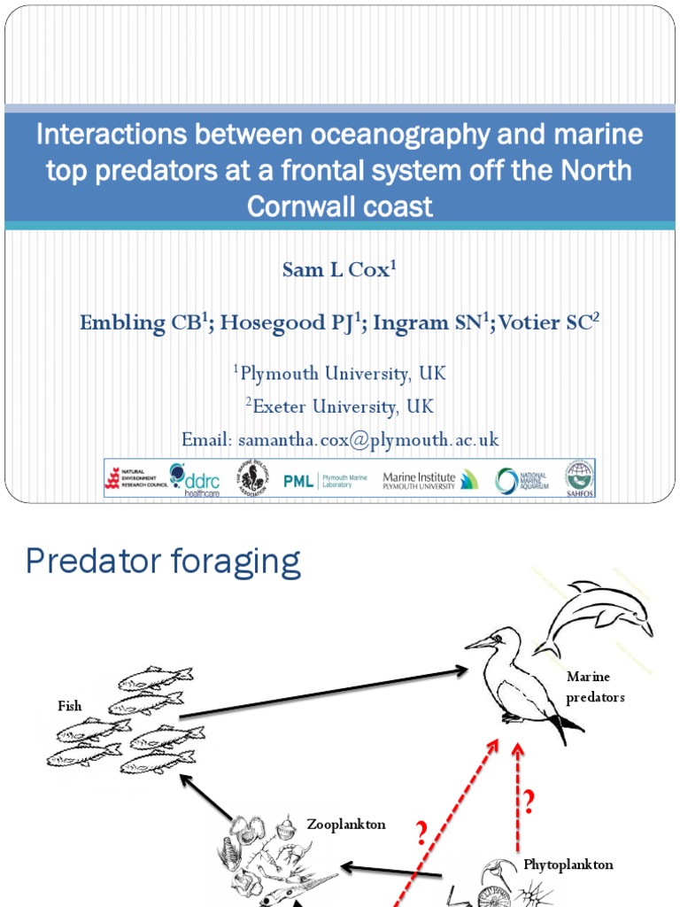 Oceanography's Impact on Marine Predators | PDF
