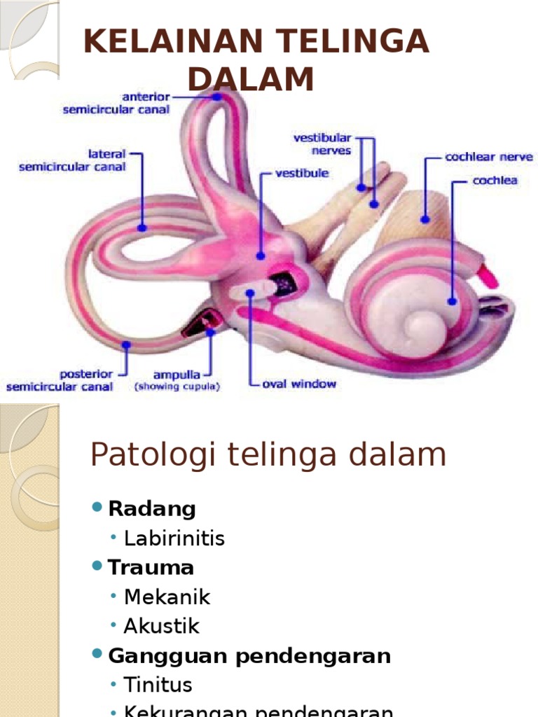 Kelainan Telinga Dalam | PDF