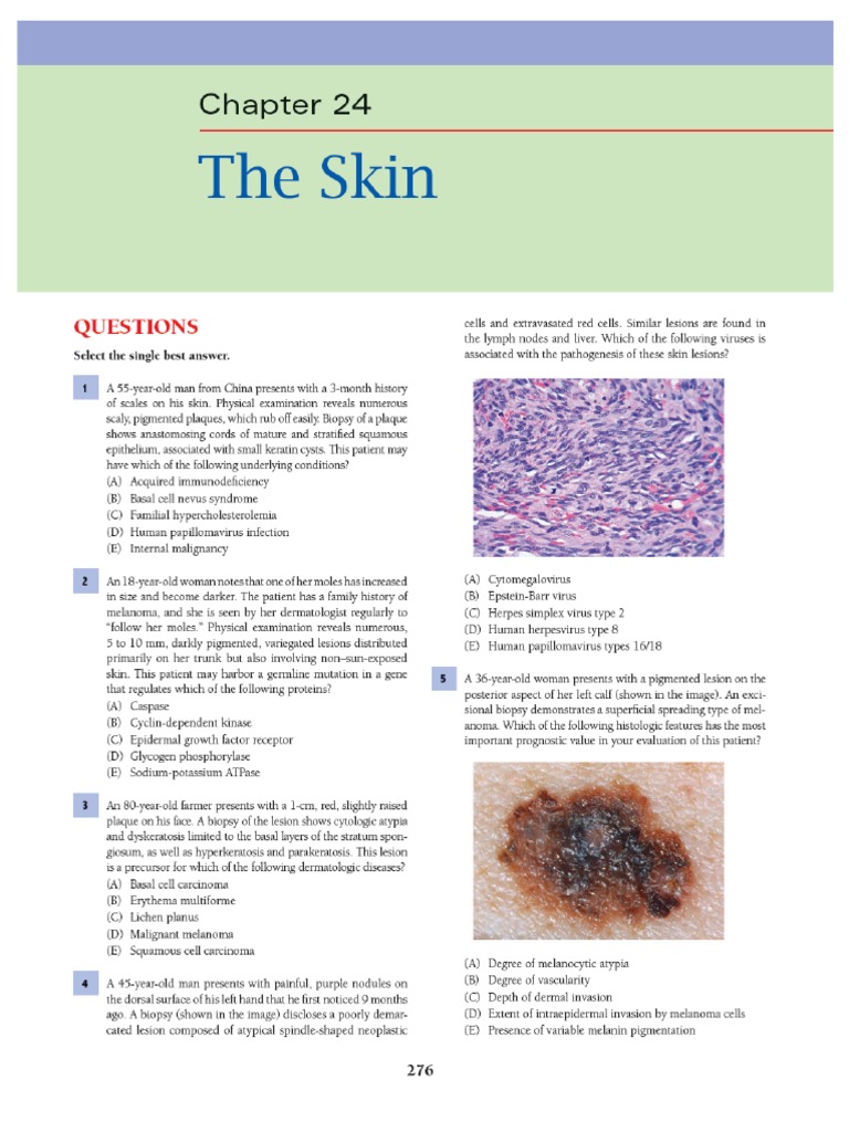 Rubin Skin Review Q's&a's | Cutaneous Conditions | Epidermis