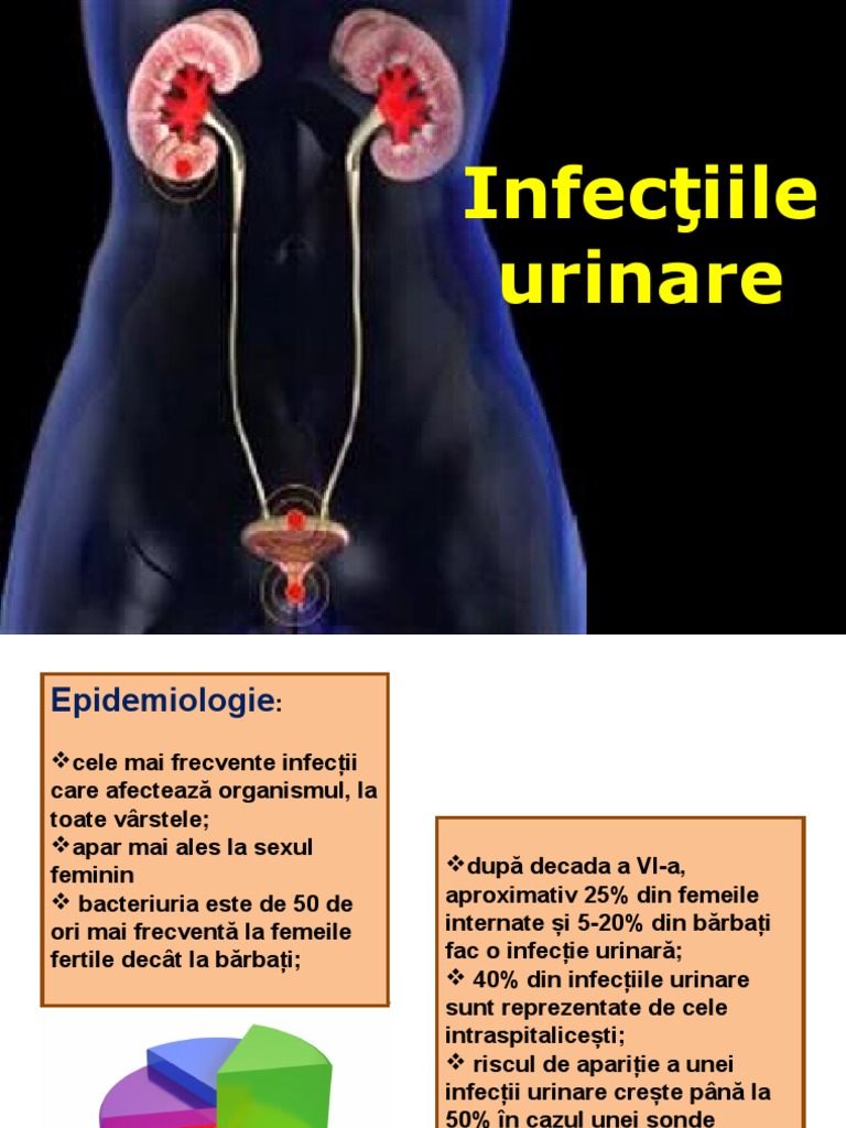 Curs Infectii Urinare | PDF