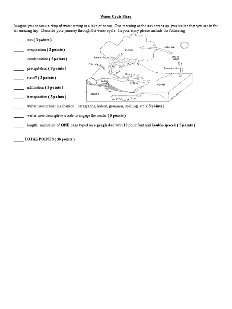 Water Cycle Journey Writing Assignment | PDF
